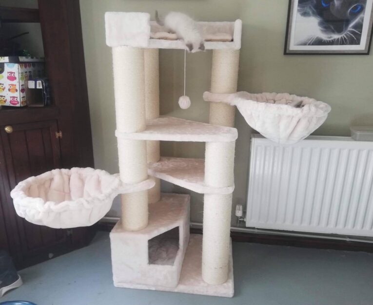Canadian Corner Coon Cat Tree - Petpalace.uk