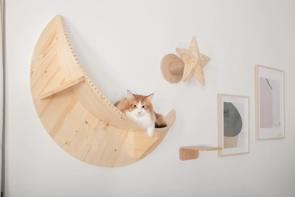 The Crescent Cat Perch - | Unbeatable Value & Fast Delivery