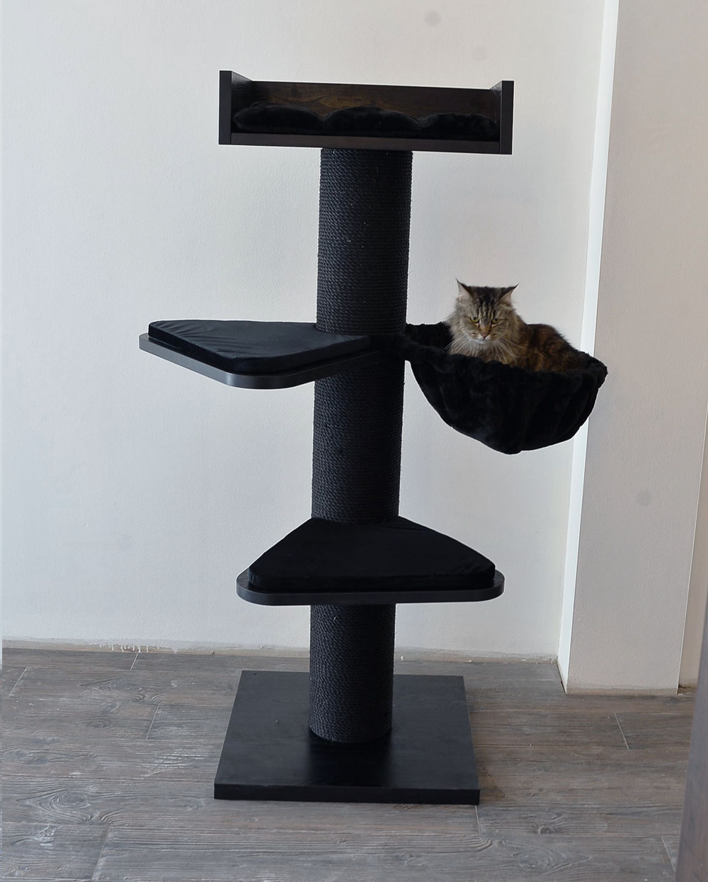 Safety First: Ensuring Your Maine Coon’s Cat Tree is Secure - Petpalace.uk